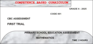 GRADE 6 SET 1 EXAMS 2025