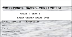 GRADE 7 SET 2 EXAMS 2025