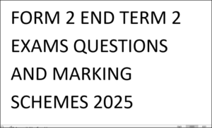 FORM 2 END TERM 2 EXAMS QUESTIONS AND MARKING SCHEMES 2025