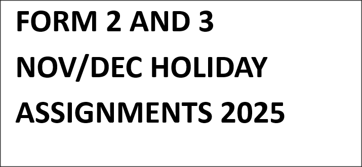 FORM 2 AND 3 NOV/DEC HOLIDAY ASSIGNMENTS 2025